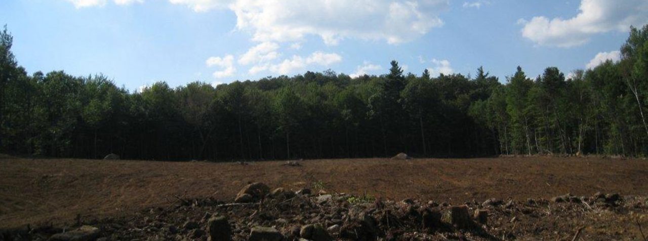 Construction - D. H. Hardwick