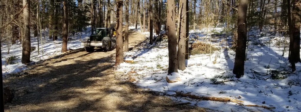 Logging - D. H. Hardwick